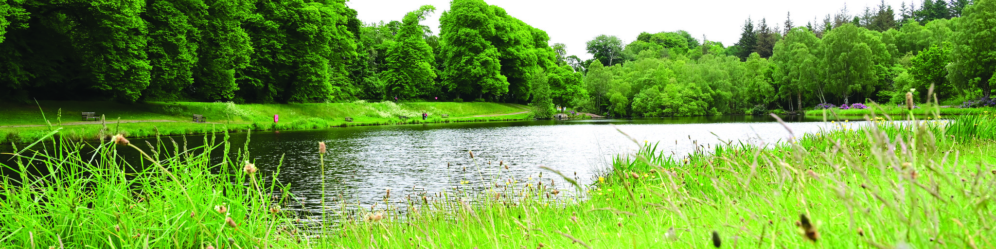 Participate+ Falkirk