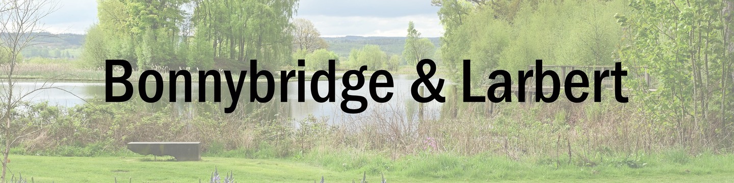 Project: Ward 5 - Bonnybridge and Larbert: Vote for Smal... | Participate+